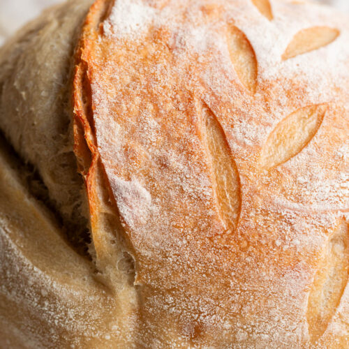 Basic Sourdough Bread Recipe - SIMPLY STYLED and WELL SEASONED